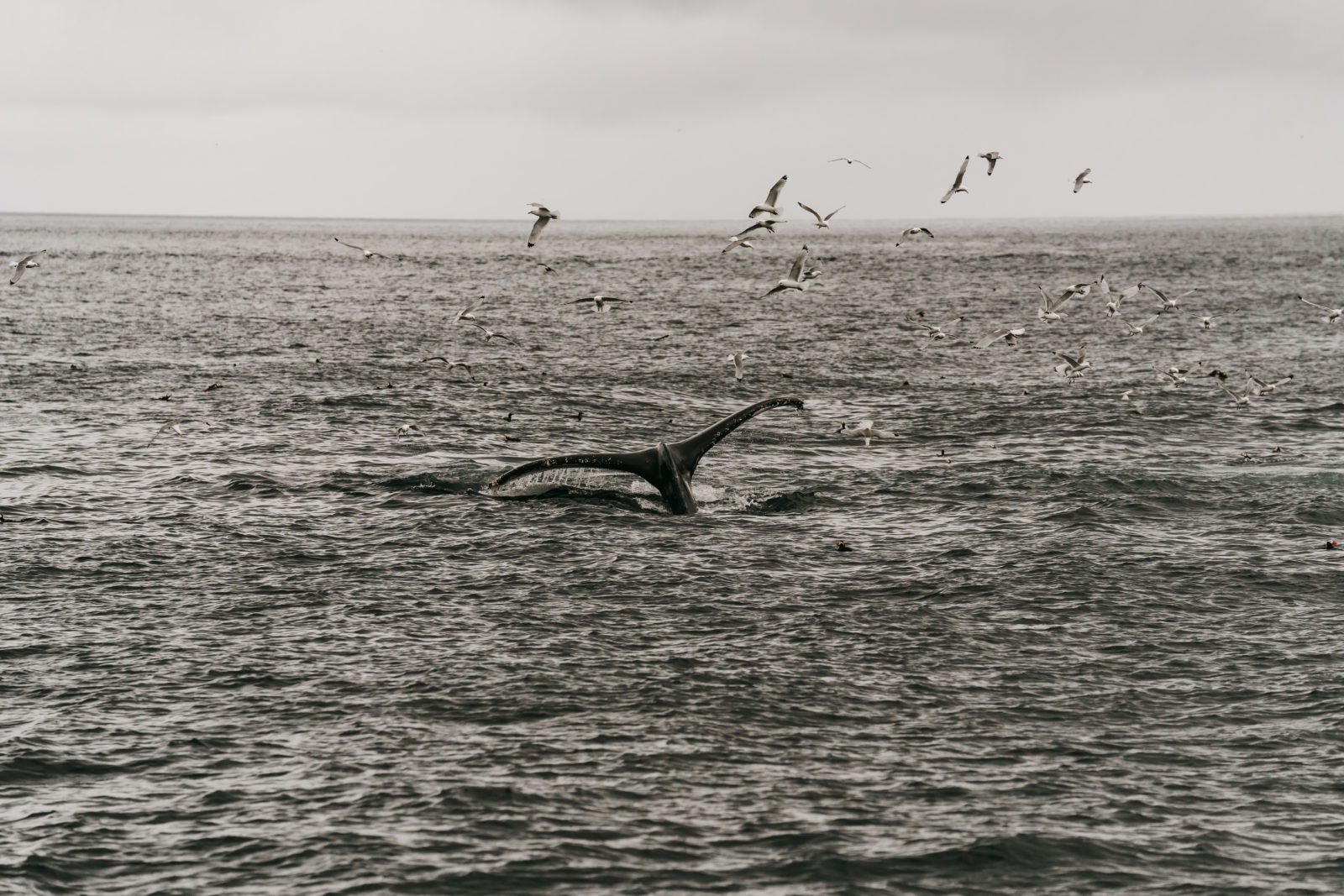 The One Where I Get Engaged: Alaska Trip Recap - sydneybreann.com